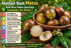 Manfaat Buah Kepel bagi Kesehatan: Buah Langka Keraton yang Kaya ...